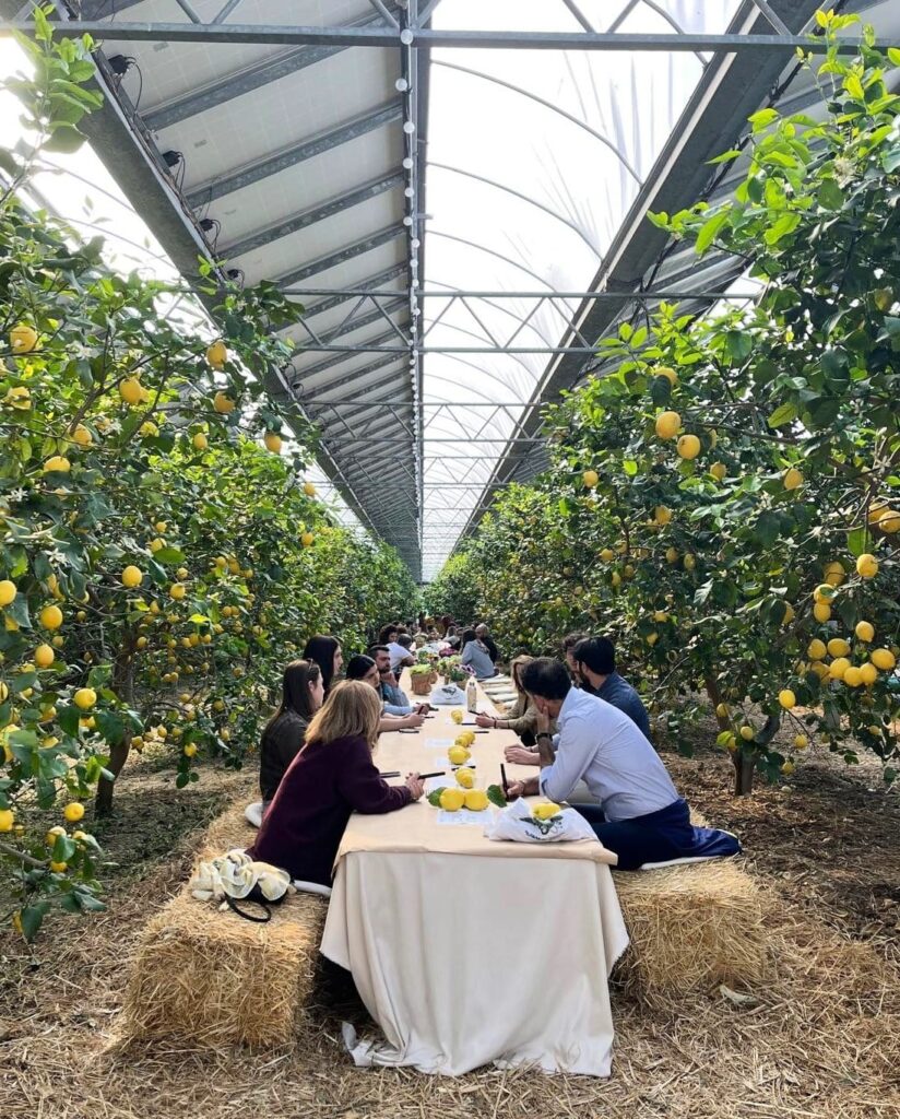 Parte da Scalea il "Convivio Agrivoltaico" di AIAS, un viaggio alla ...